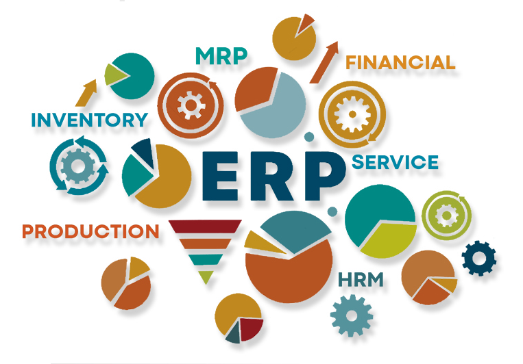 Software Development - STEDAXIS